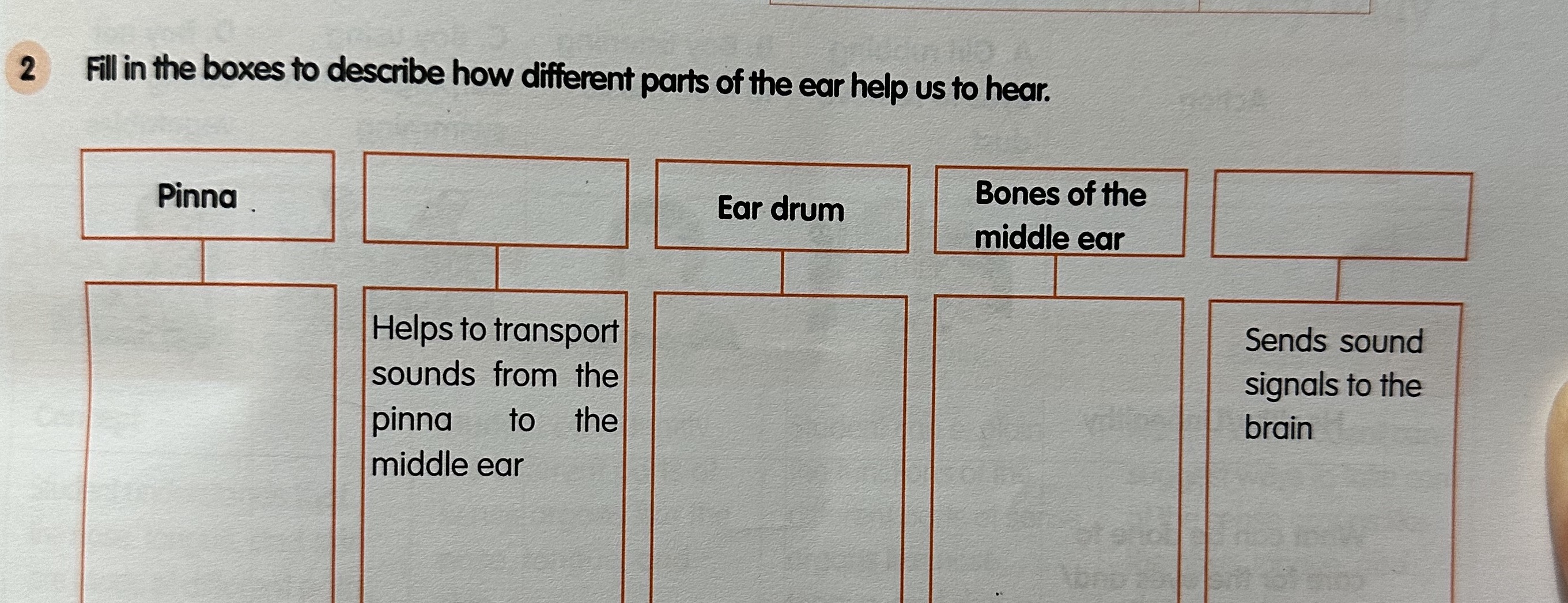 2 Fill in the boxes to describe how | StudyX