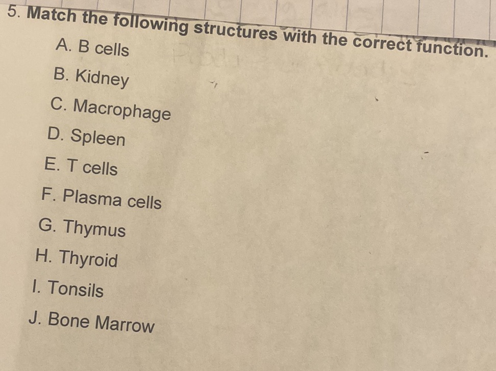 5. Match the following structures with the | StudyX