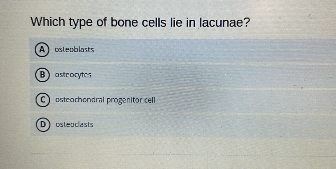 Which type of bone cells lie in lacunae? | StudyX