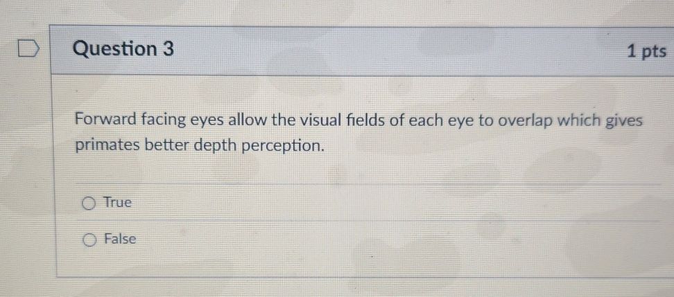 Forward facing eyes allow the visual fields | StudyX