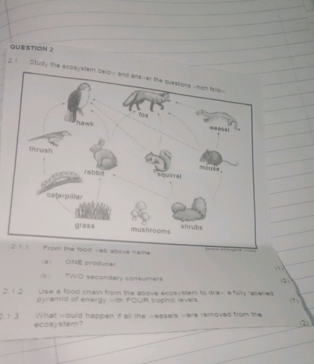 QUESTION 2 2.1 Study the ecosystem below and | StudyX