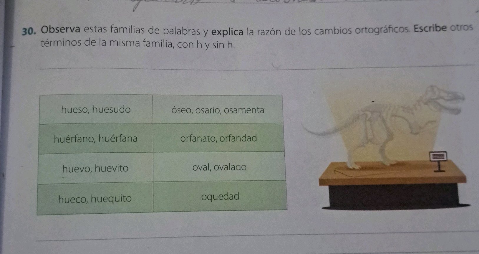 30. Observa estas familias de palabras y | StudyX