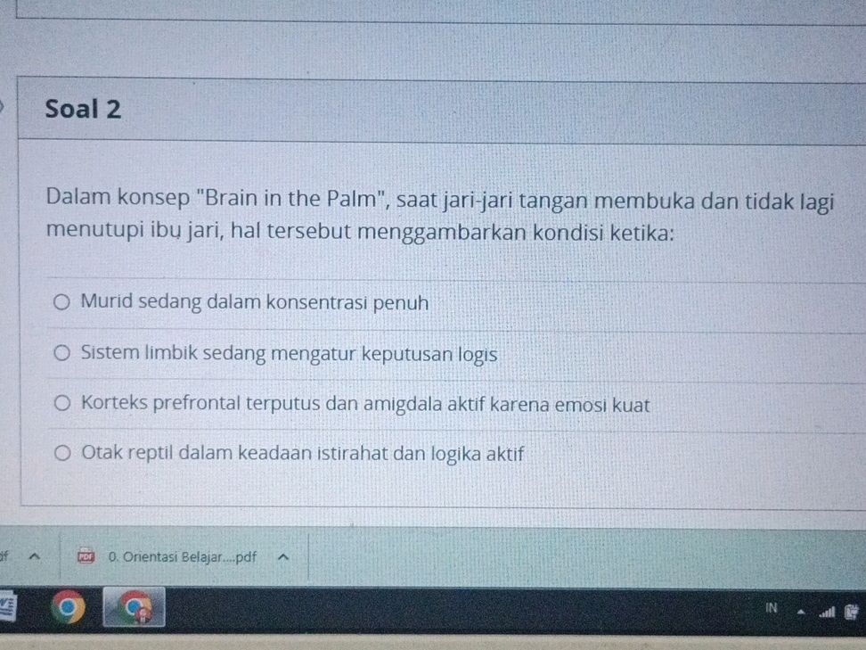 Soal 2 Dalam konsep "Brain in the Palm",