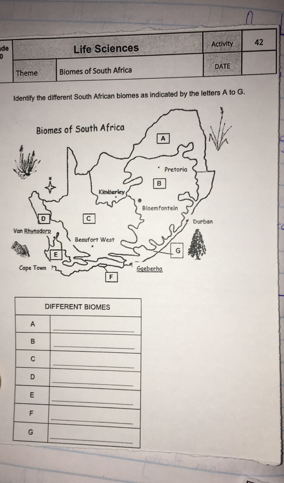 Identify the different South African biomes | StudyX