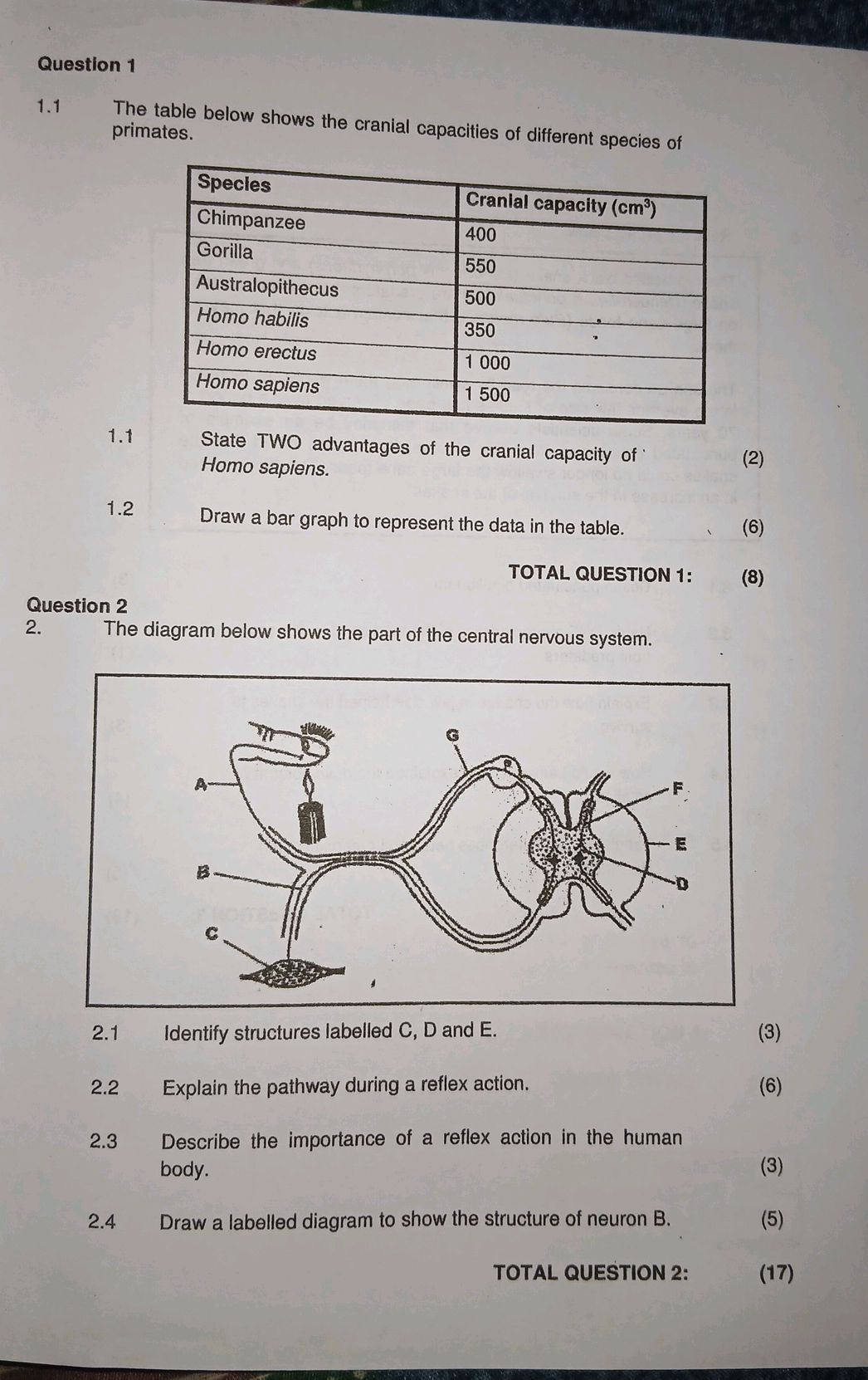 Question 1 1.1 The table below shows the | StudyX