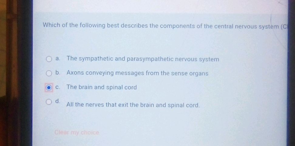 Which of the following best describes the | StudyX