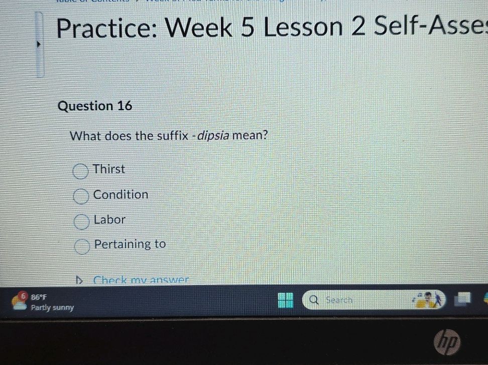 Question 16 What does the suffix -dipsia | StudyX