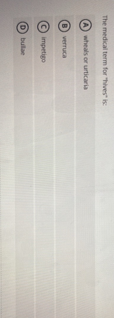 The medical term for "hives" is: A wheals or | StudyX