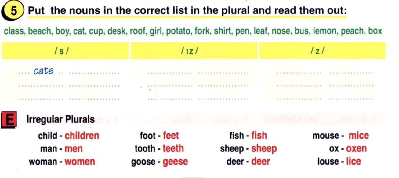 5) Put the nouns in the correct list in the | StudyX