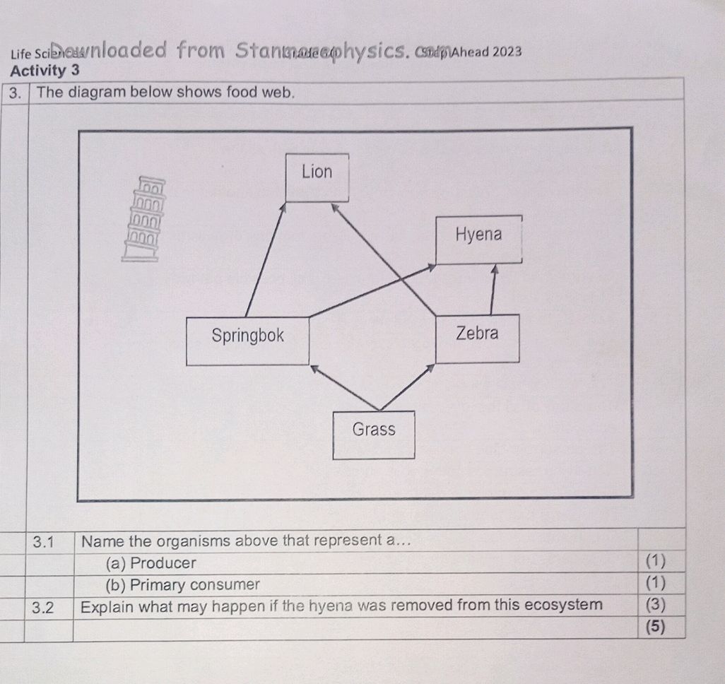 3. The diagram below shows food web. | StudyX