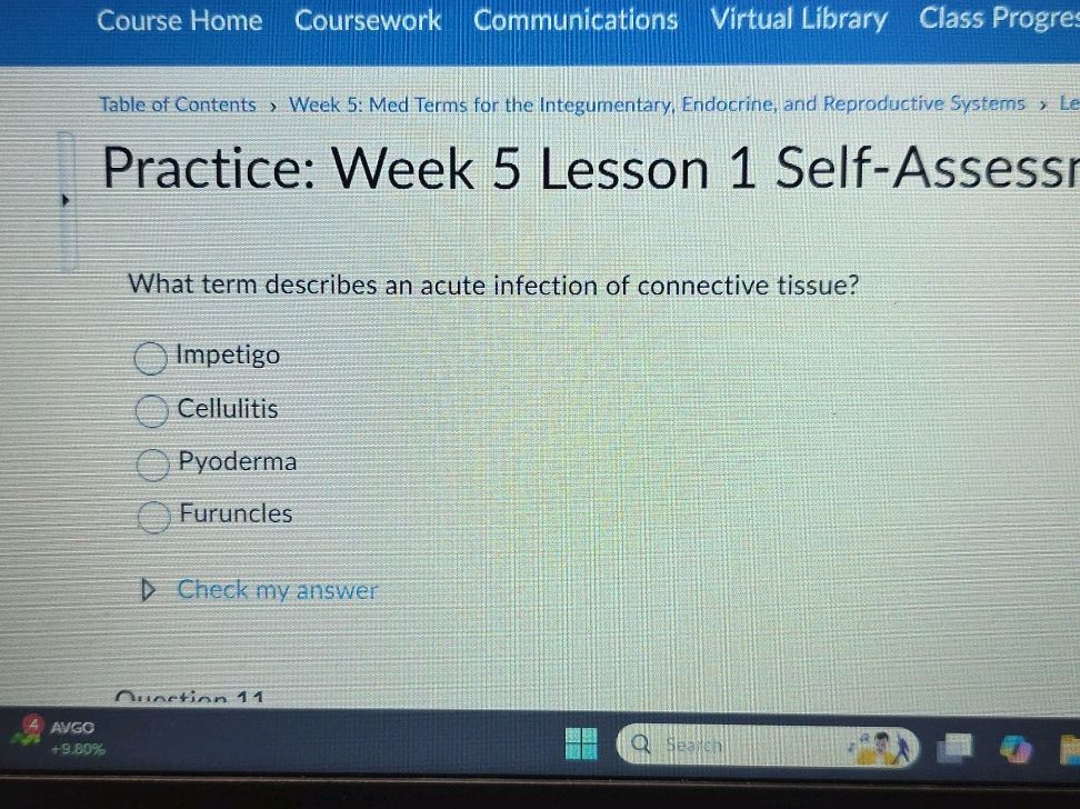What term describes an acute infection of | StudyX