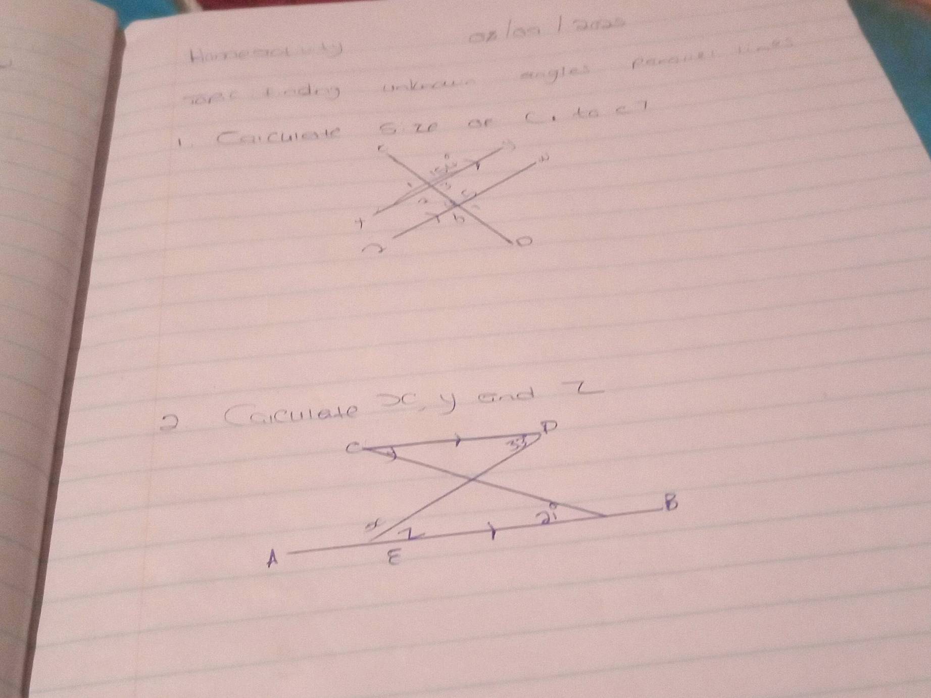 Homework Topic: Finding unknown angles | StudyX