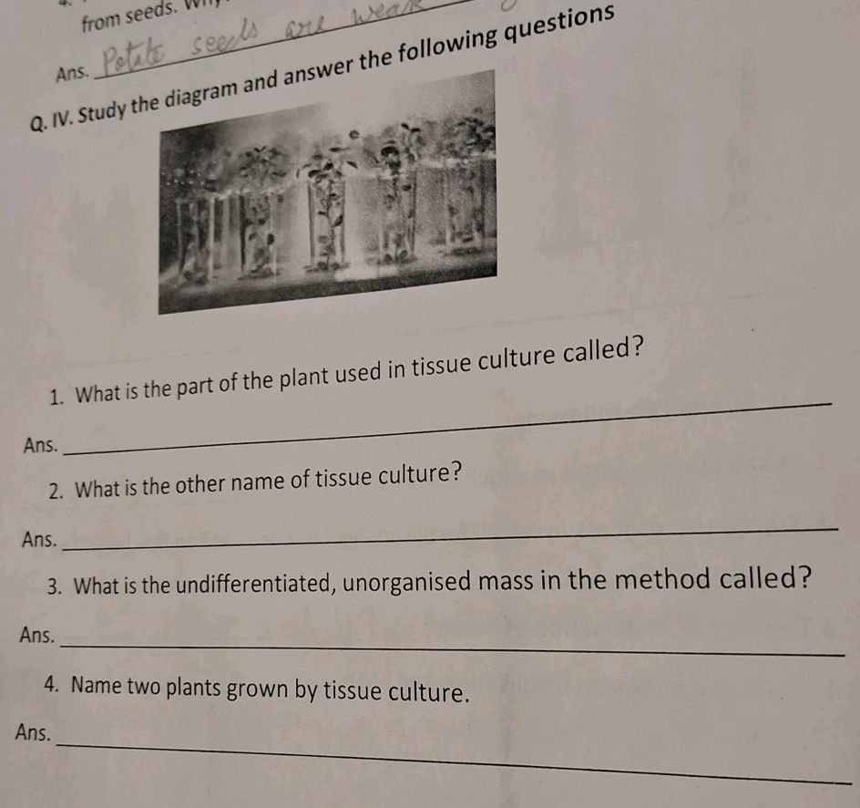 Q. IV. Study the diagram and answer the | StudyX