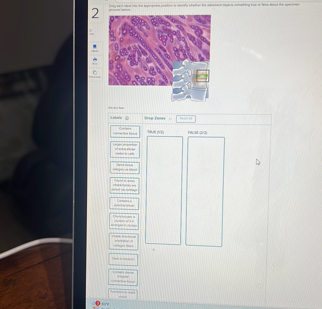 2 Drag each label into the appropriate | StudyX