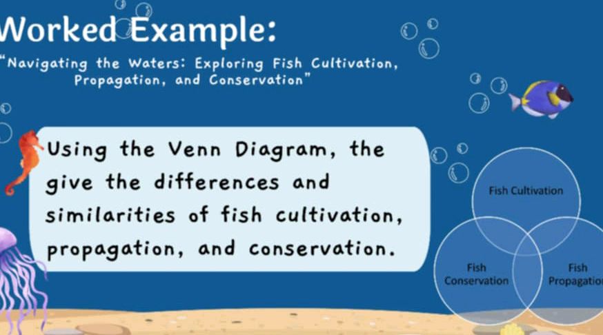 Using the Venn Diagram, give the differences | StudyX