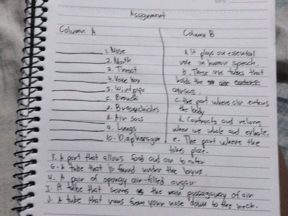 Column A 1. Nose 2. Mouth 3. Throat 4. Voice | StudyX