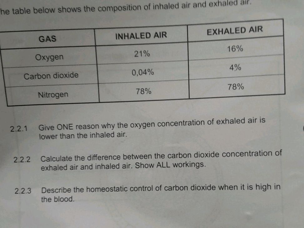 The table below shows the composition of | StudyX