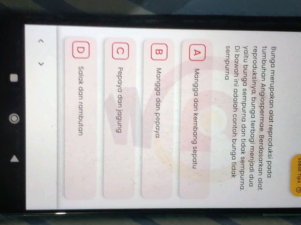 Bunga merupakan alat reproduksi pada | StudyX