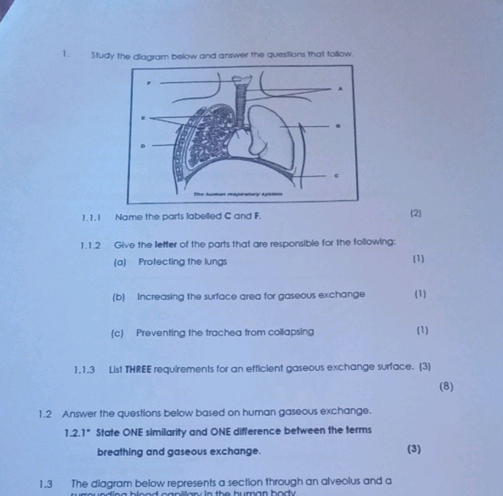 1. Study the diagram below and answer the | StudyX