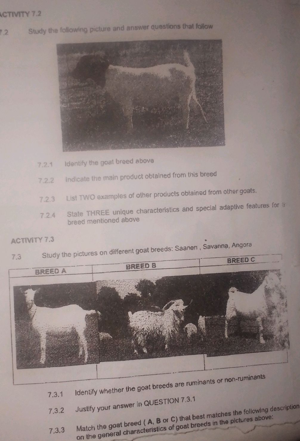 ACTIVITY 7.2 7.2 Study the following picture | StudyX