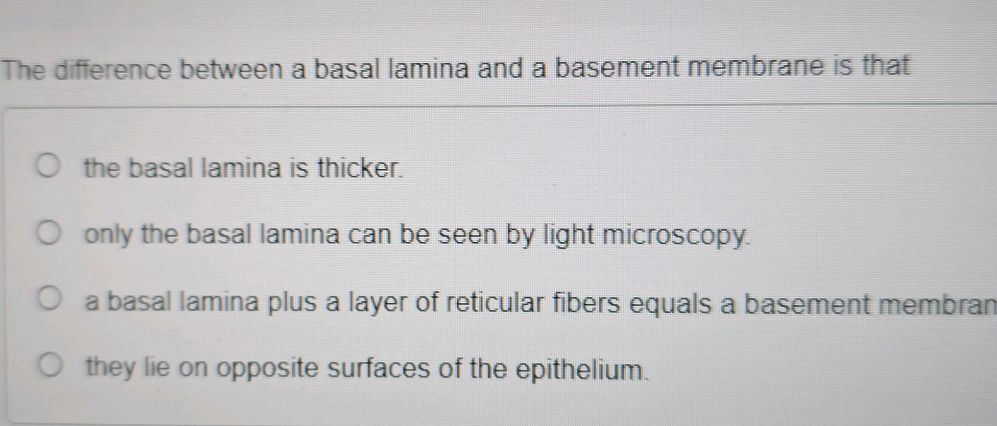 The difference between a basal lamina and a | StudyX
