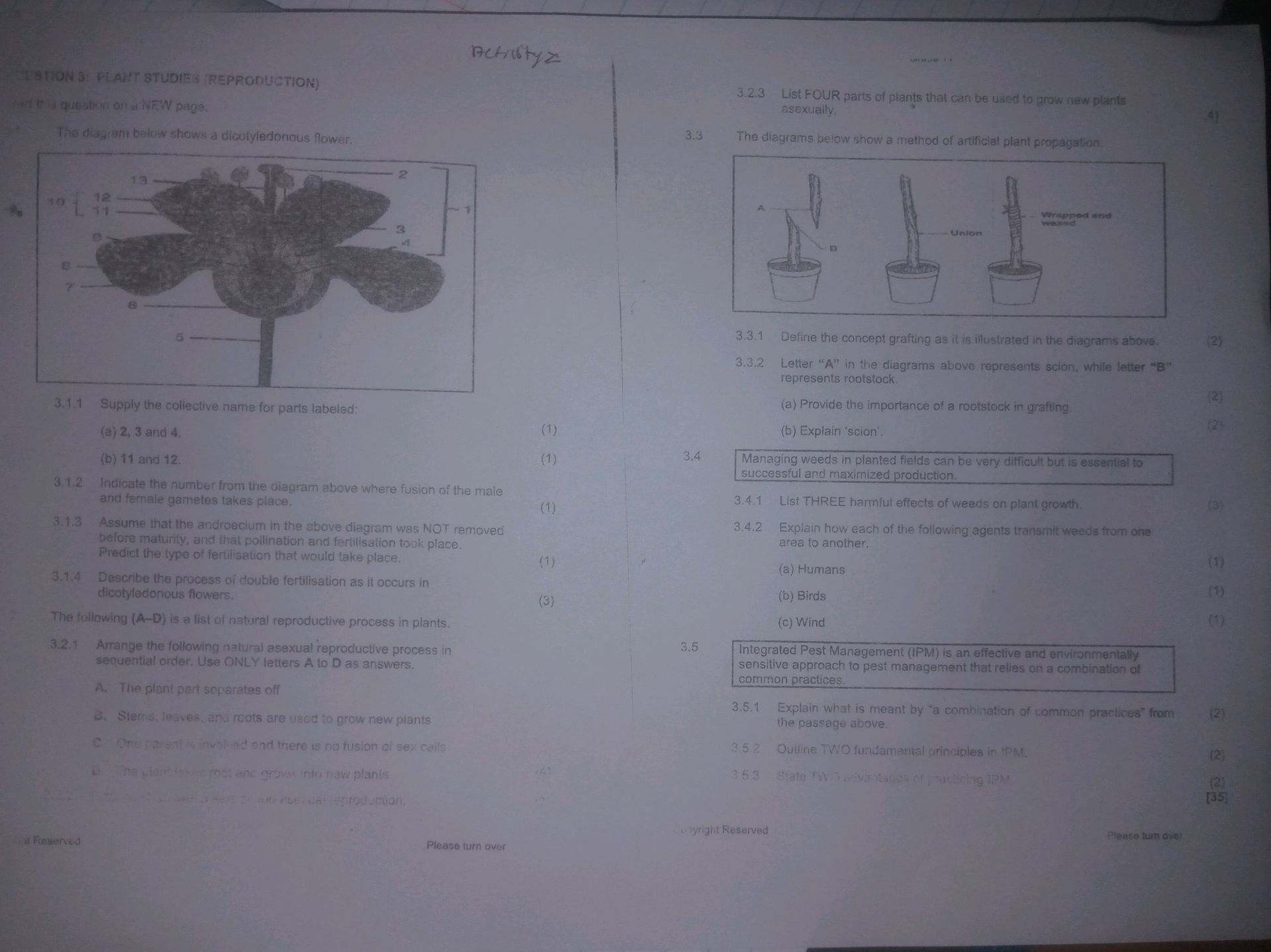 ESTION 3: PLANT STUDIES (REPRODUCTION) The | StudyX
