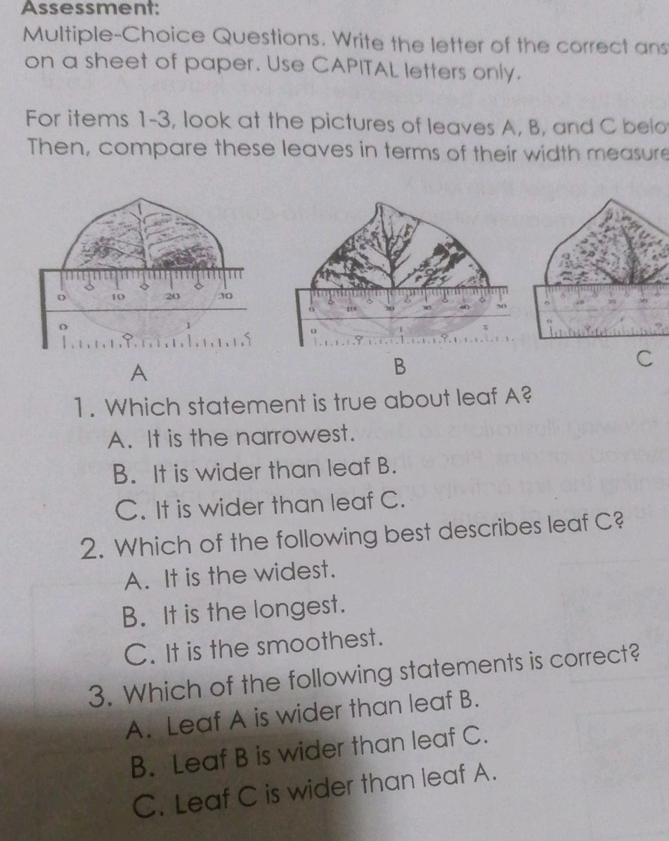 Assessment: Multiple-Choice Questions. Write | StudyX