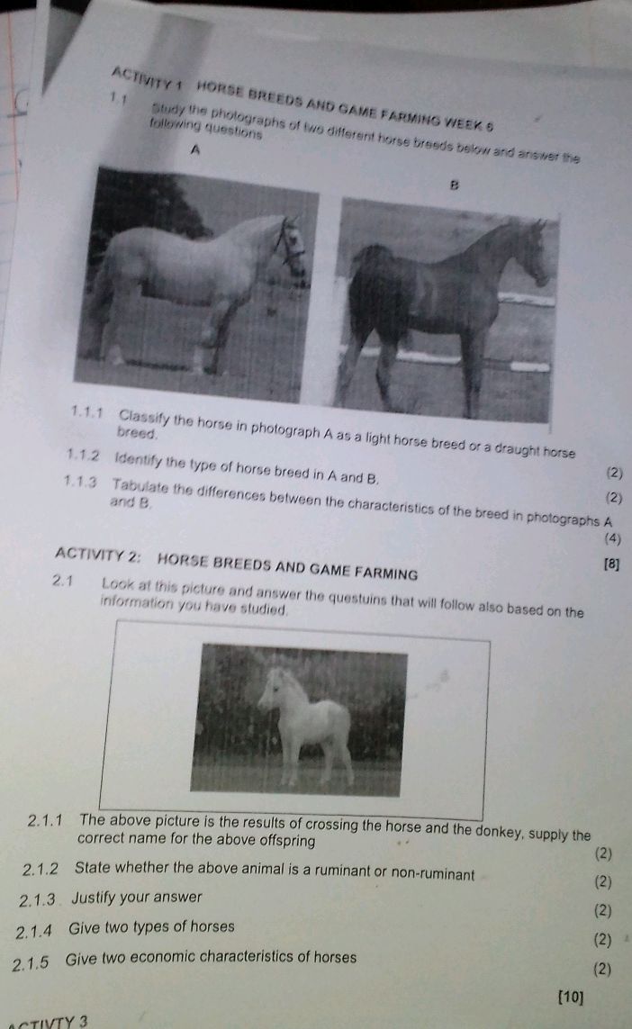 ACTIVITY 1 HORSE BREEDS AND GAME FARMING | StudyX