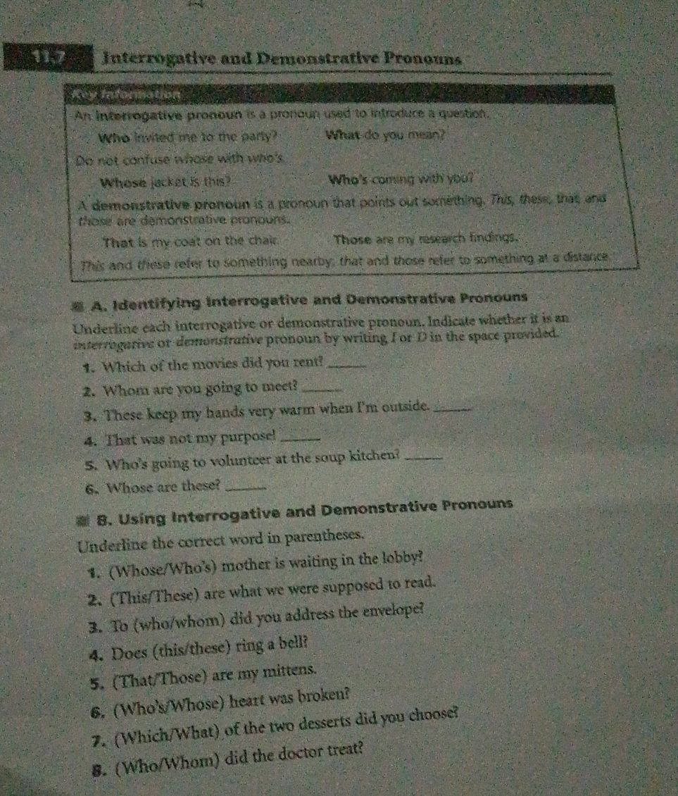 11.7 Interrogative and Demonstrative | StudyX