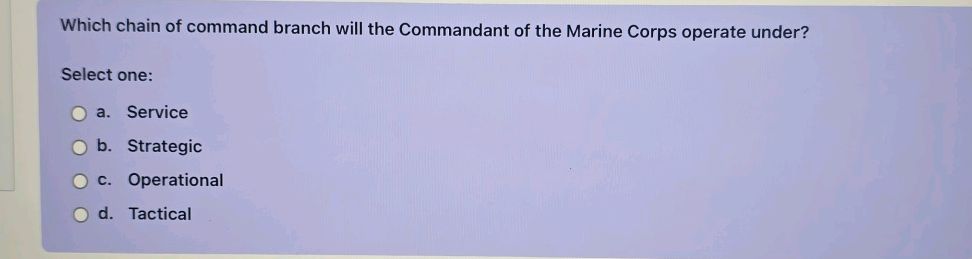 Which chain of command branch will the