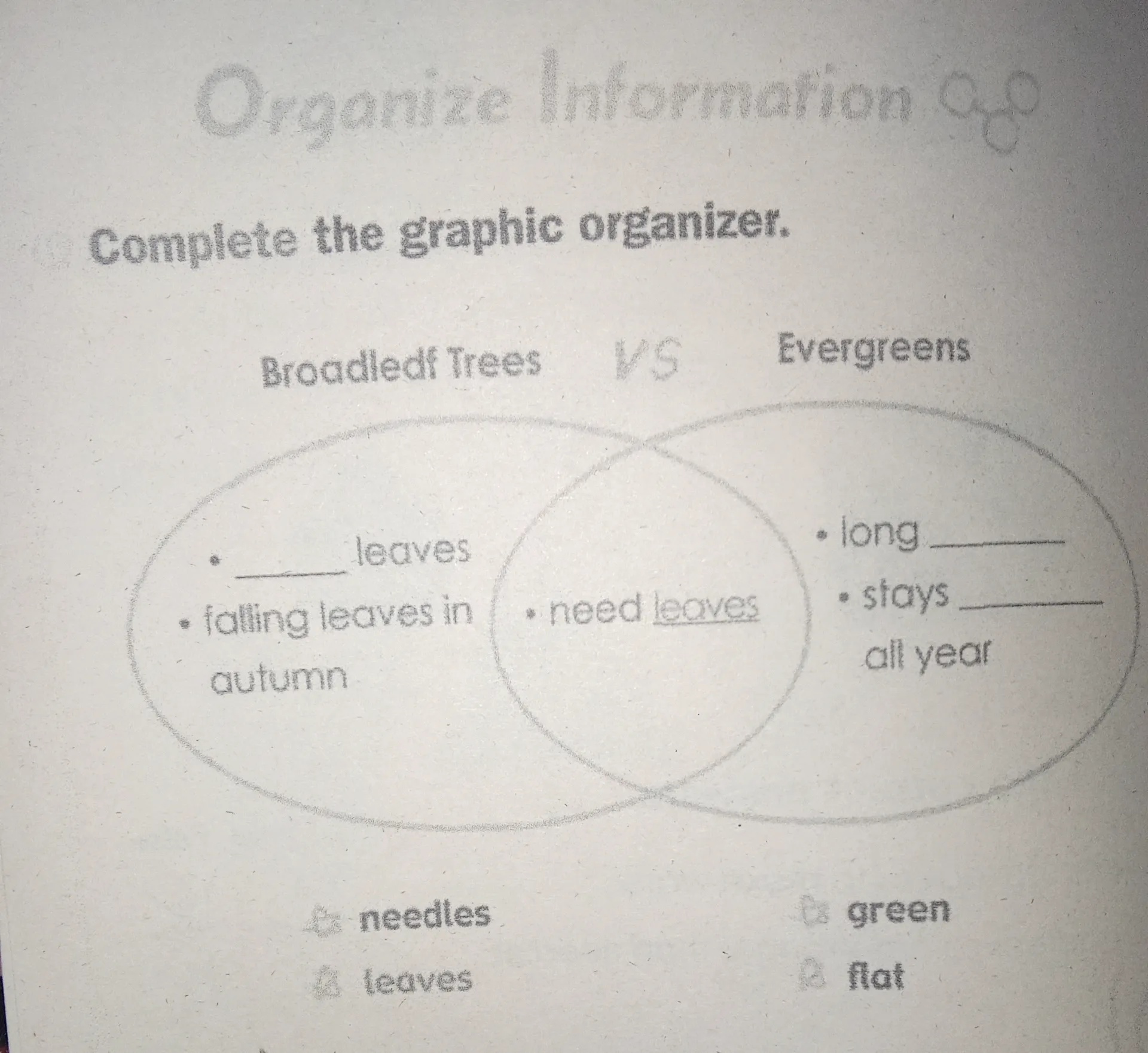 Organize Information Complete the graphic | StudyX
