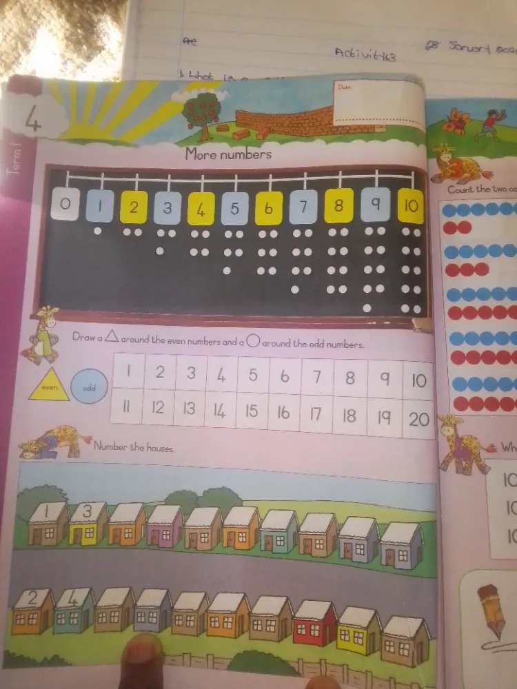 More numbers Draw a around the even numbers | StudyX