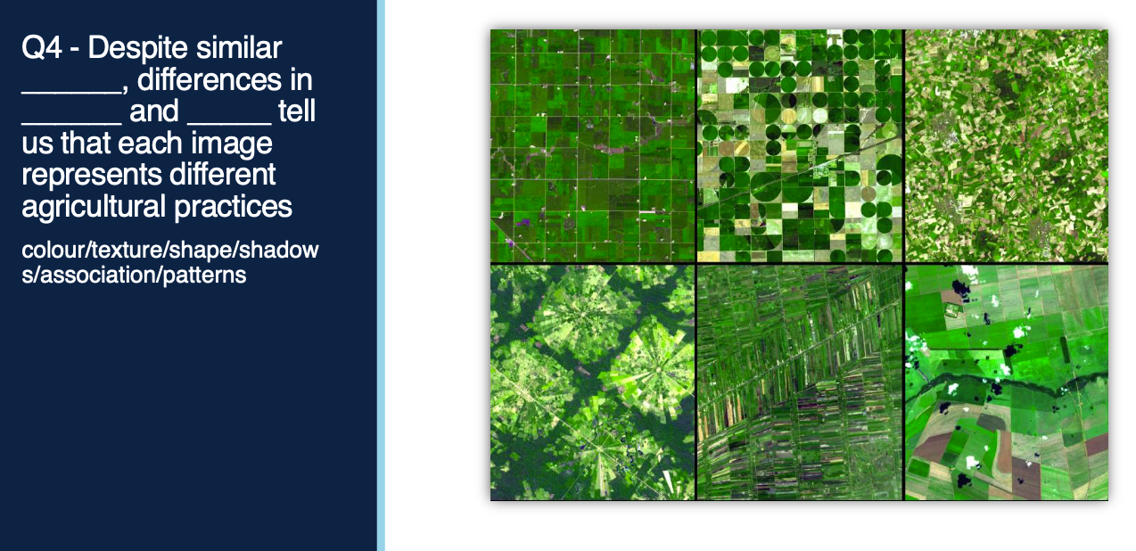 Q4 - Despite similar differences in and | StudyX