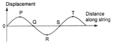 The graph in the figure below shows the | StudyX