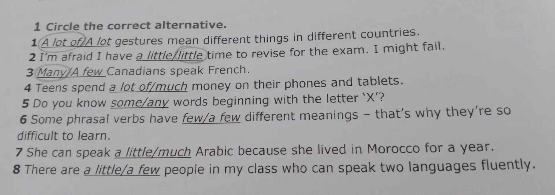 1 Circle the correct alternative 1 A lot | StudyX
