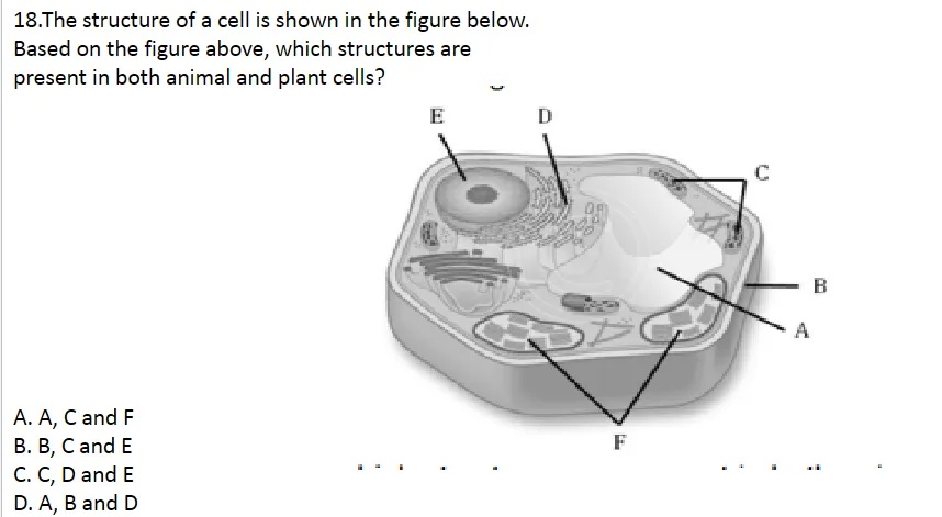 18The structure of a cell is shown in the | StudyX