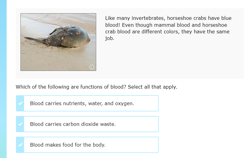 Like many invertebrates horseshoe crabs have | StudyX