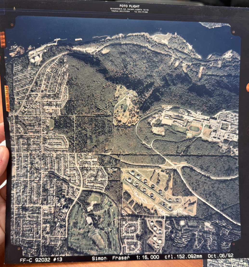 Although it is difficult to clearly identify | StudyX