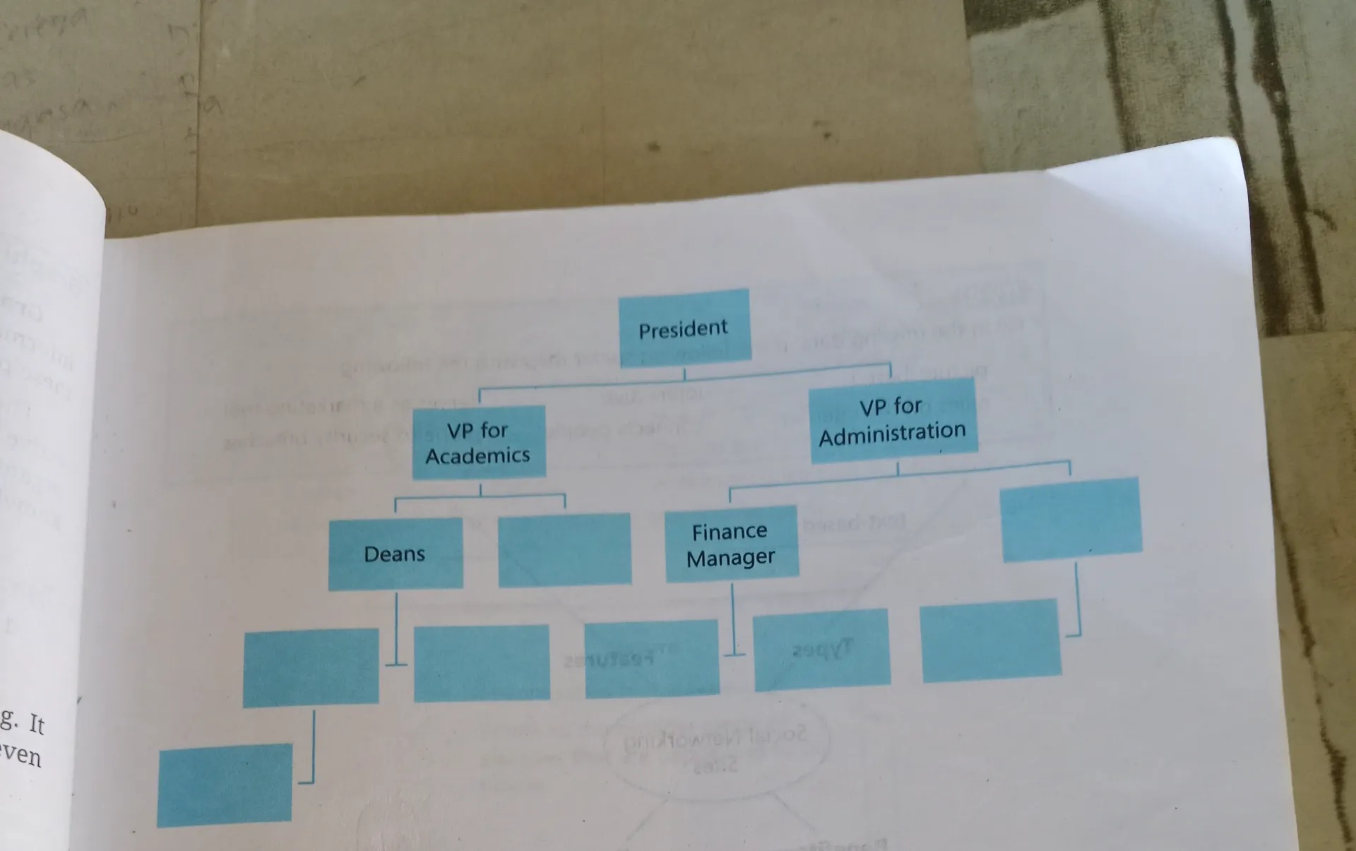 The image contains an organizational chart | StudyX