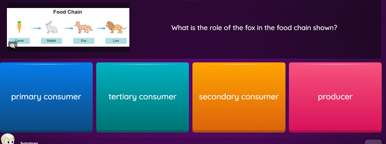 Food Chain Carrot Rabbit Fox Lion What is | StudyX