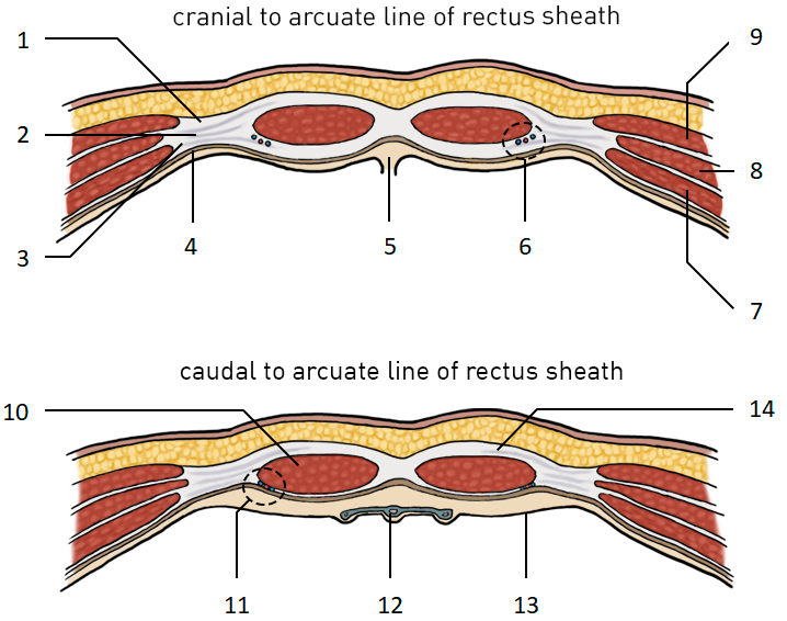The image contains two diagrams showing the | StudyX