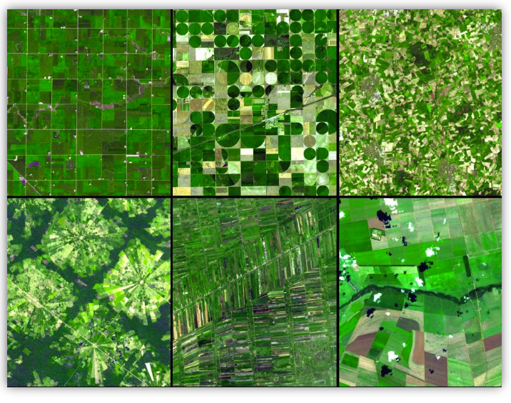 The image contains six satellite images | StudyX