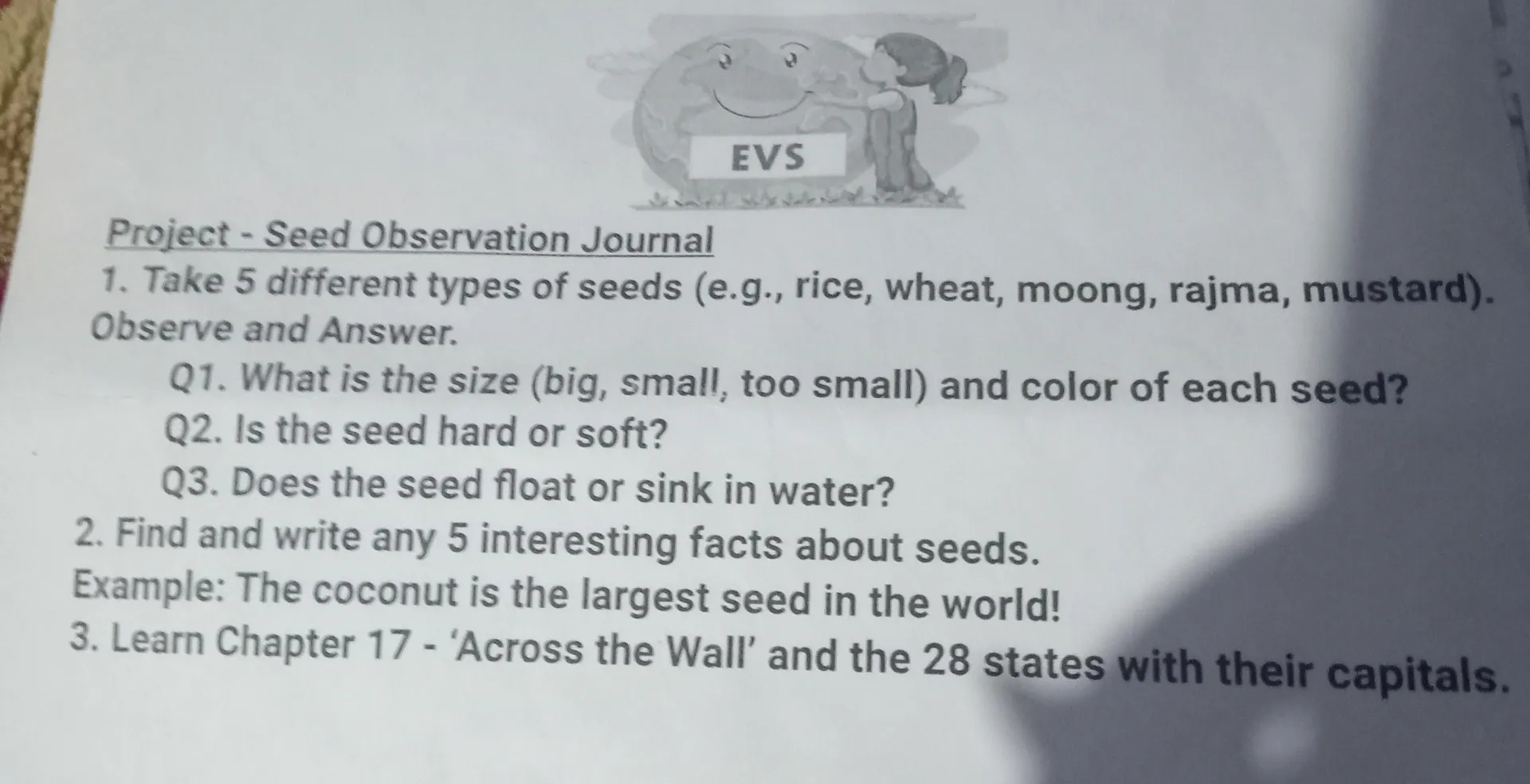 Project - Seed Observation Journal 1 Take 5 | StudyX