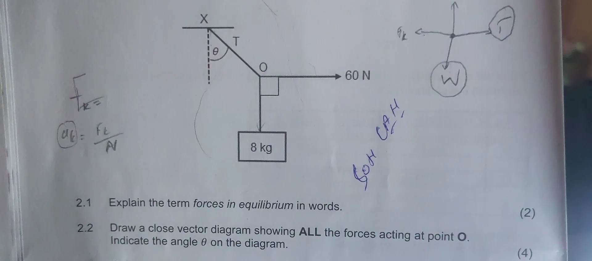 21 Explain the term forces in equilibrium in | StudyX