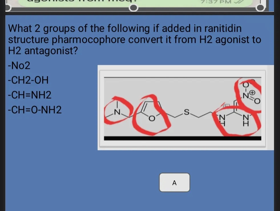 What 2 groups of the following if added in | StudyX
