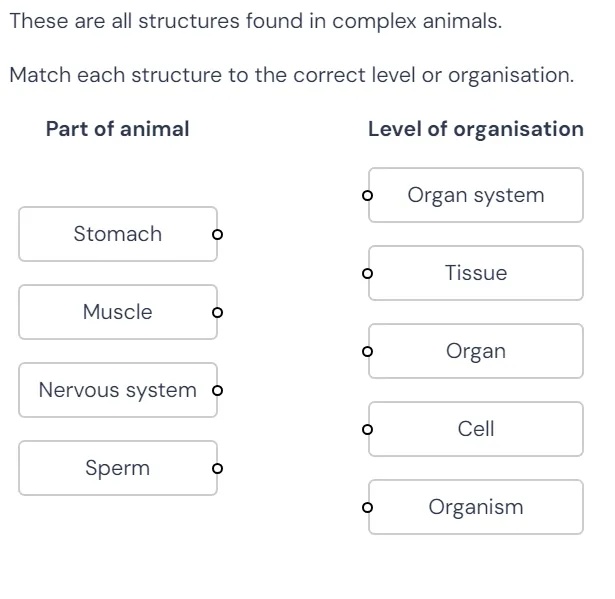These are all structures found in complex | StudyX