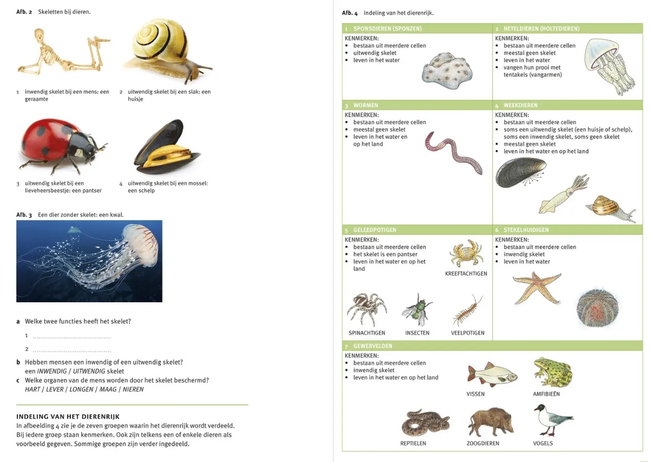 Afb 2 Skeletten bij dieren 1 inwendig skelet | StudyX