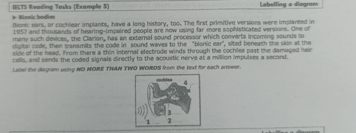 IELTS Reading Tasks (Example 5) Bionic | StudyX