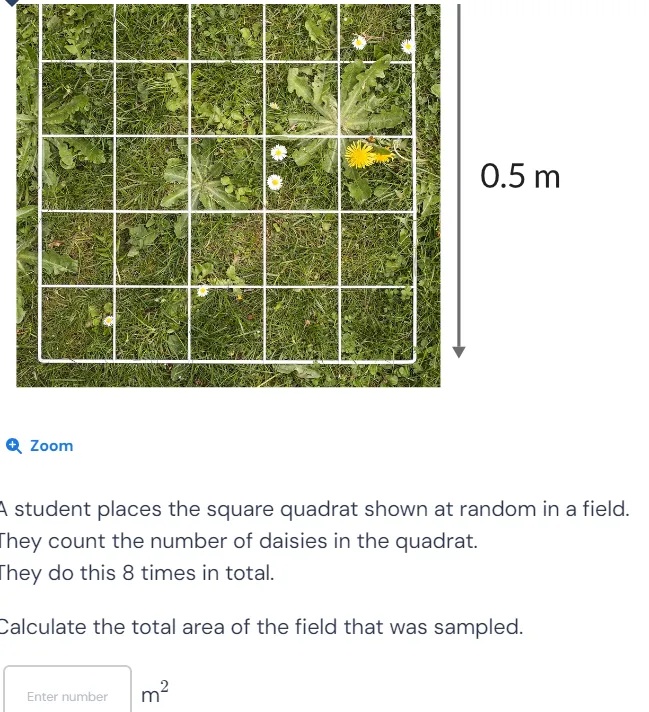 A student places the square quadrat shown at | StudyX