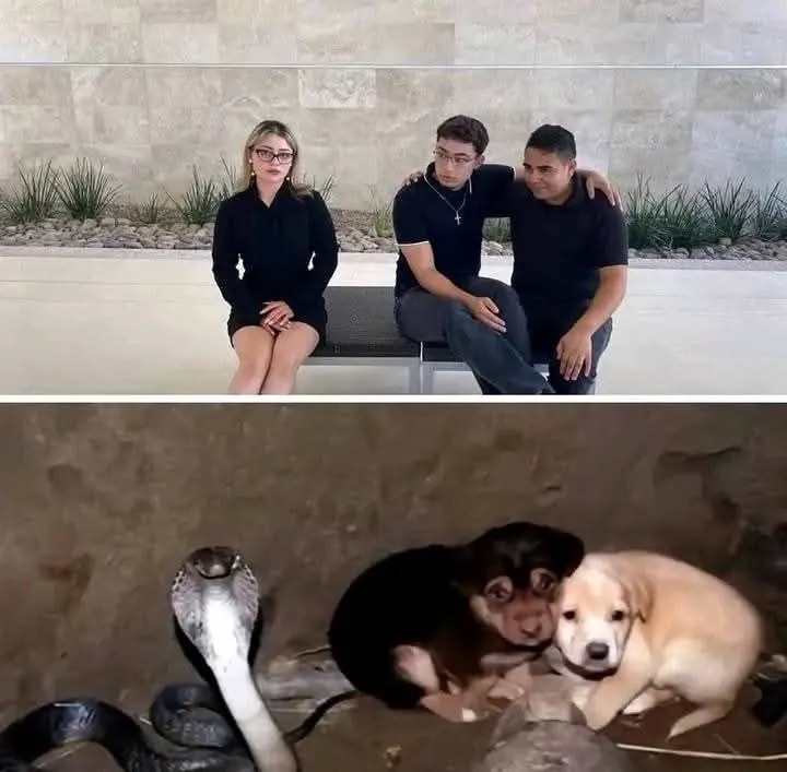 The image contains two pictures The first | StudyX